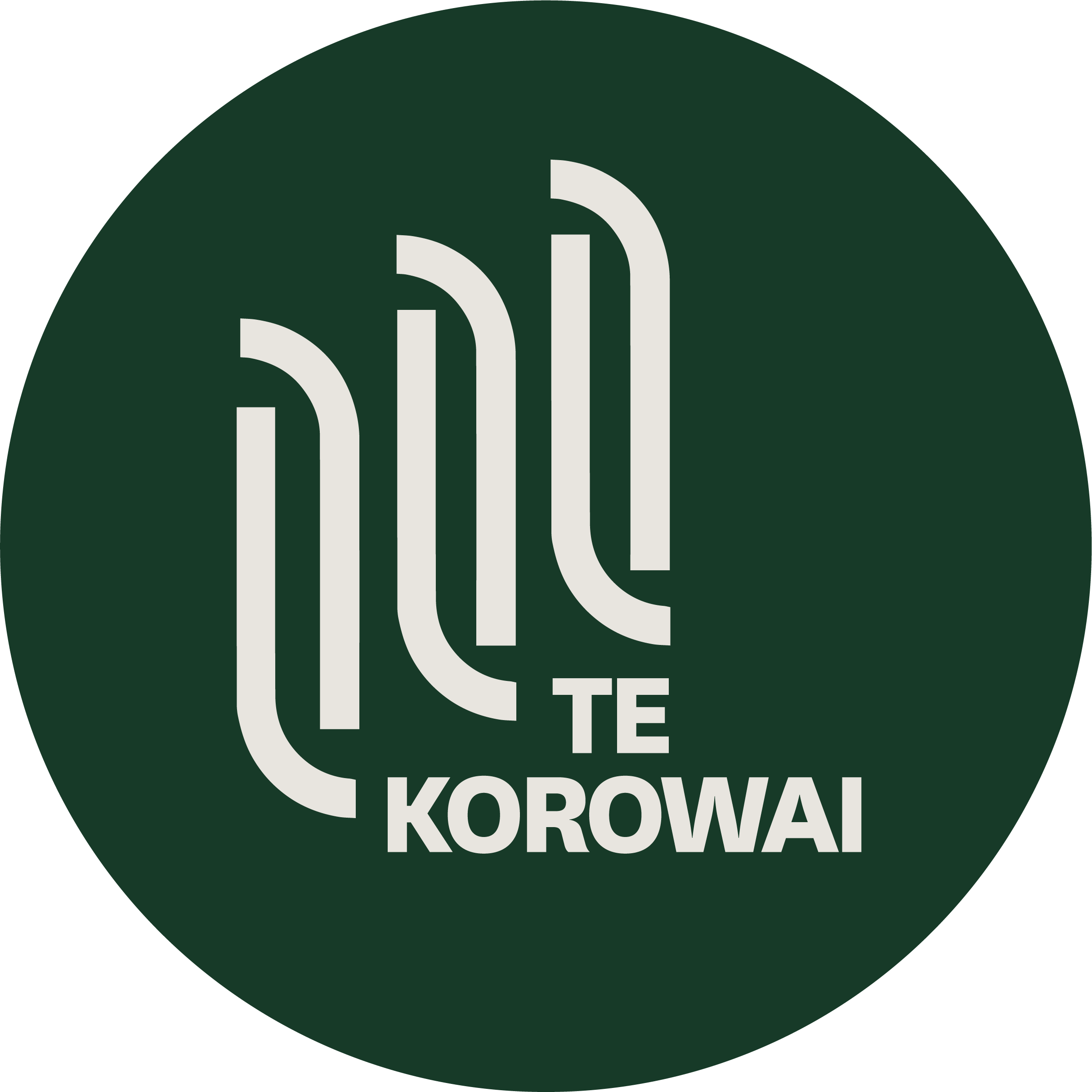 Appoint | Local Government New Zealand - Te Korowai (LGNZ)